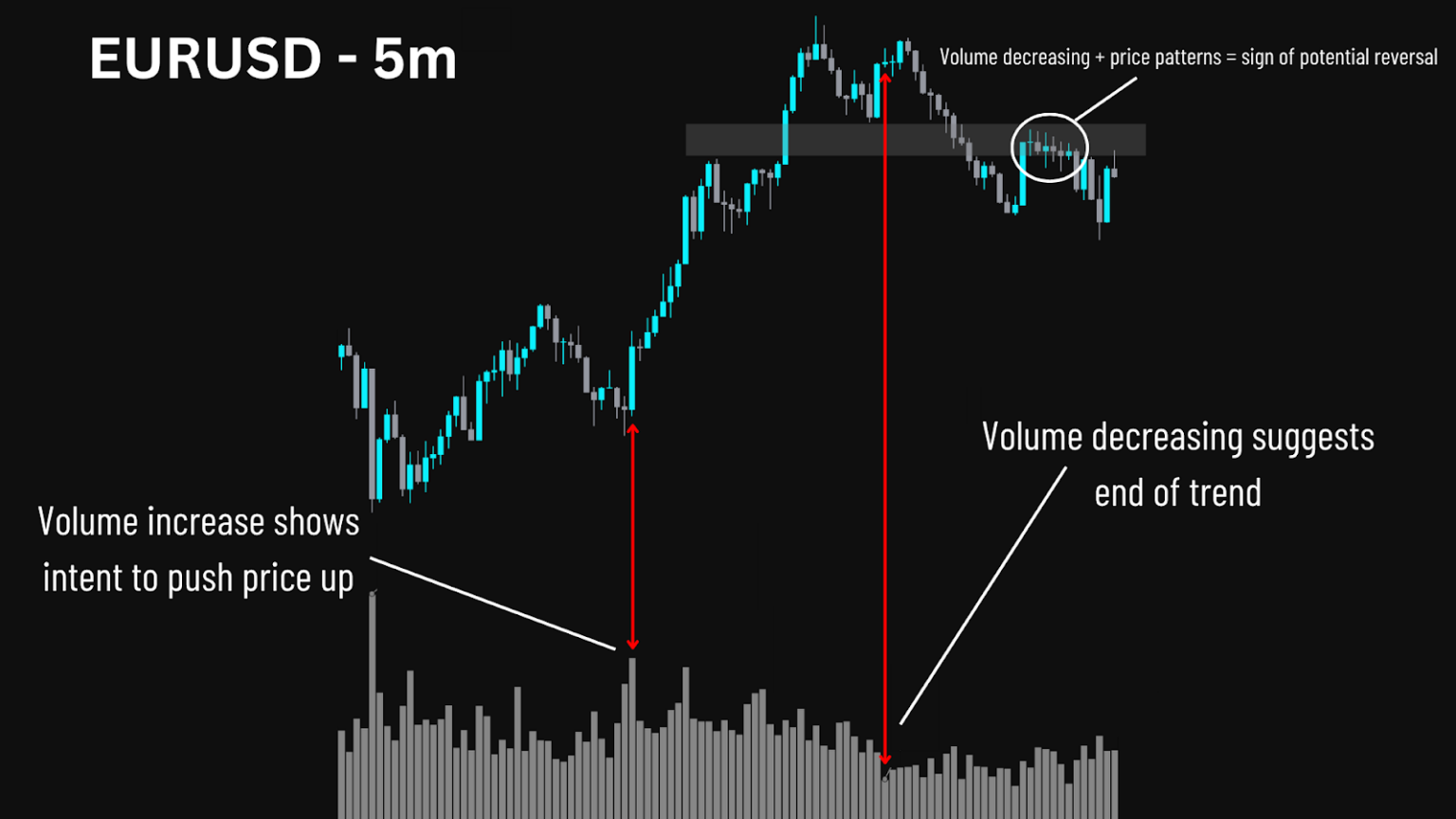How to Use the Volume Indicator to Improve Trade Decisions | FXIFY